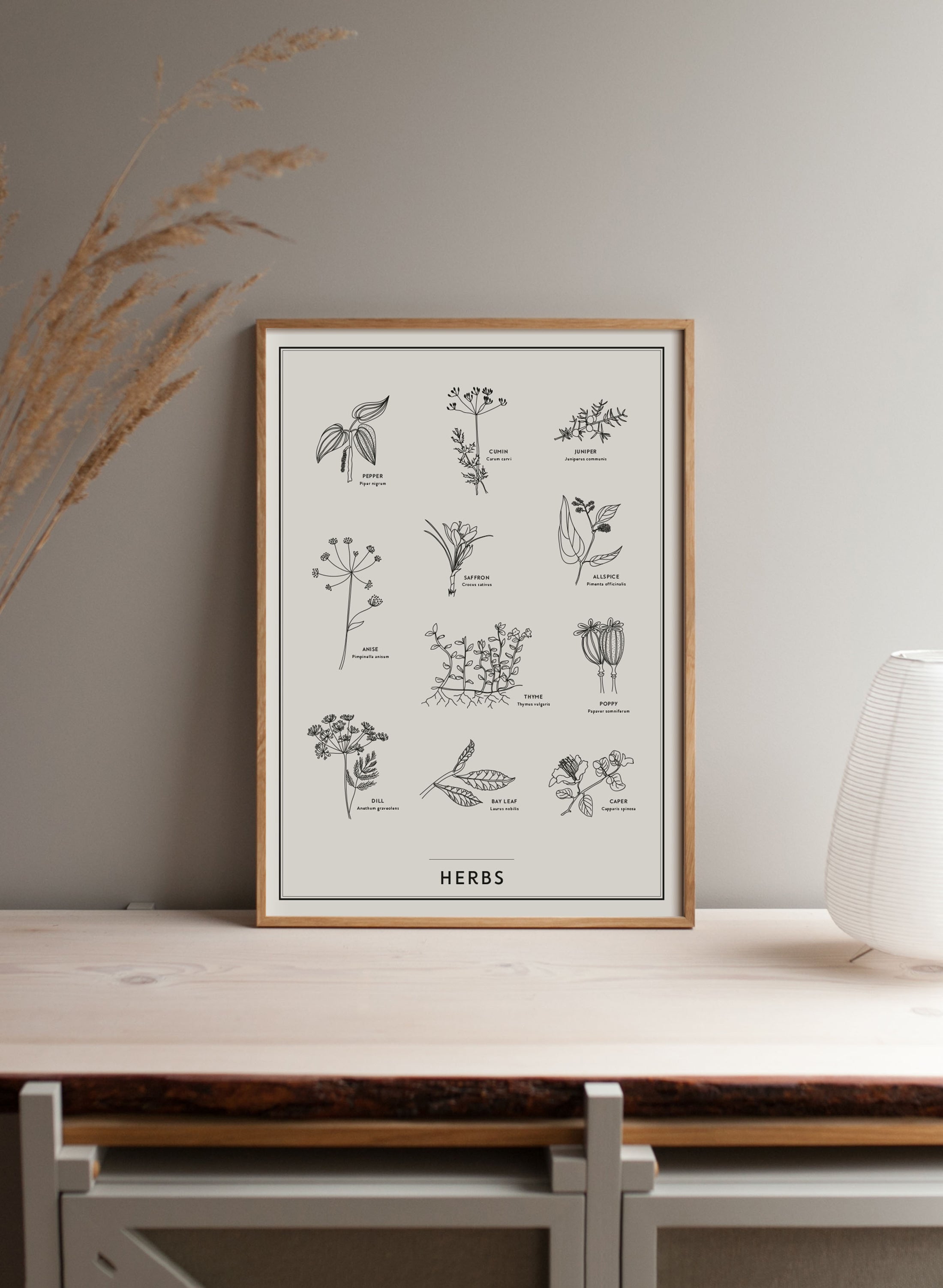 Kunskapstavlan® Herbs Poster - Elegant Culinary Herb Guide for the ...